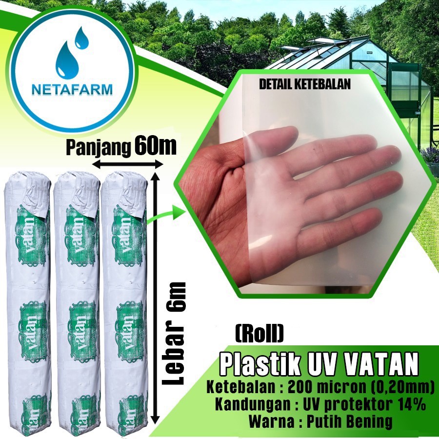 Jual Plastik UV VATAN TURKEY 14% 200mc GreenHouse 6mx60m - 1 Roll | Shopee Indonesia
