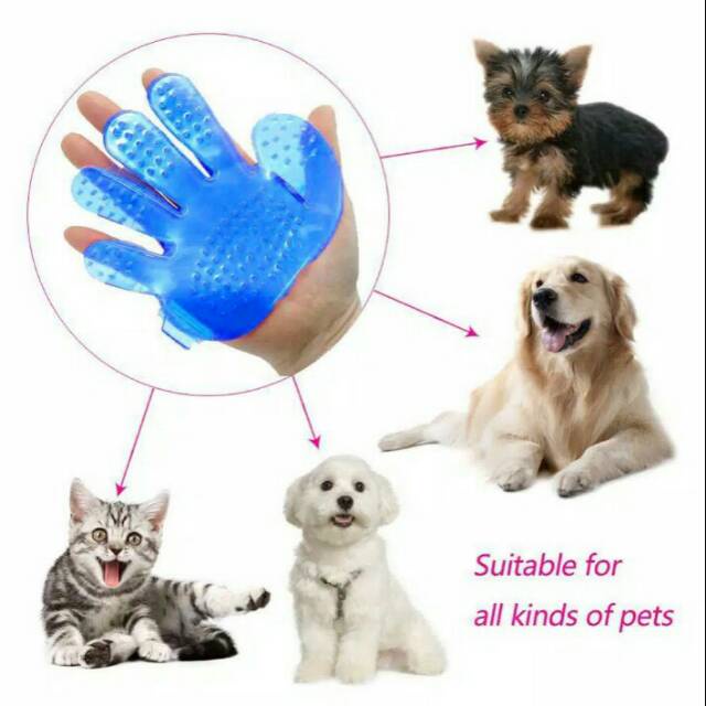 Jual Sisir Grooming Model Talapak Tangan Sisir Anjing Kucing | Shopee ...
