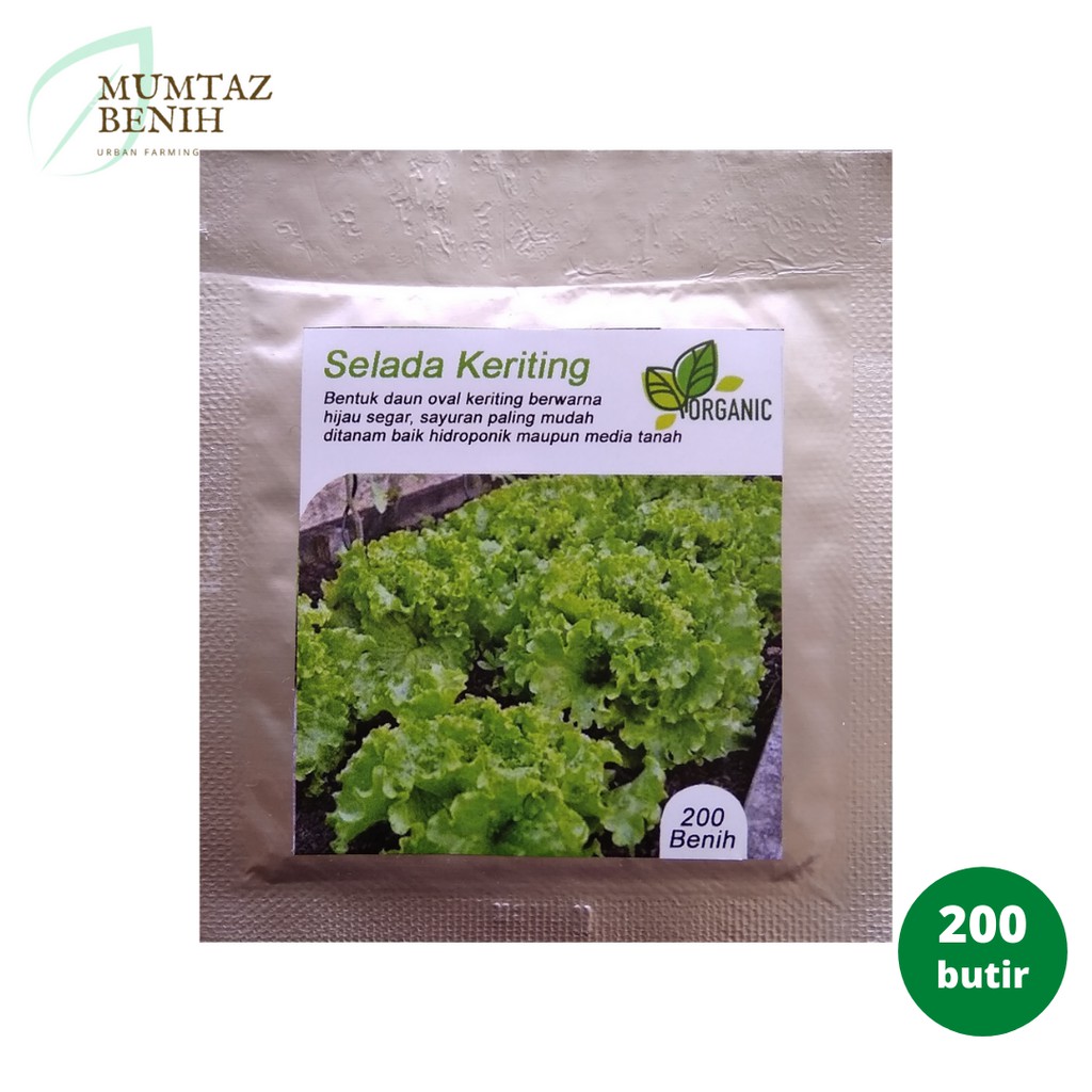 Jual Benih Selada Hijau Keriting (Organic) | Shopee Indonesia