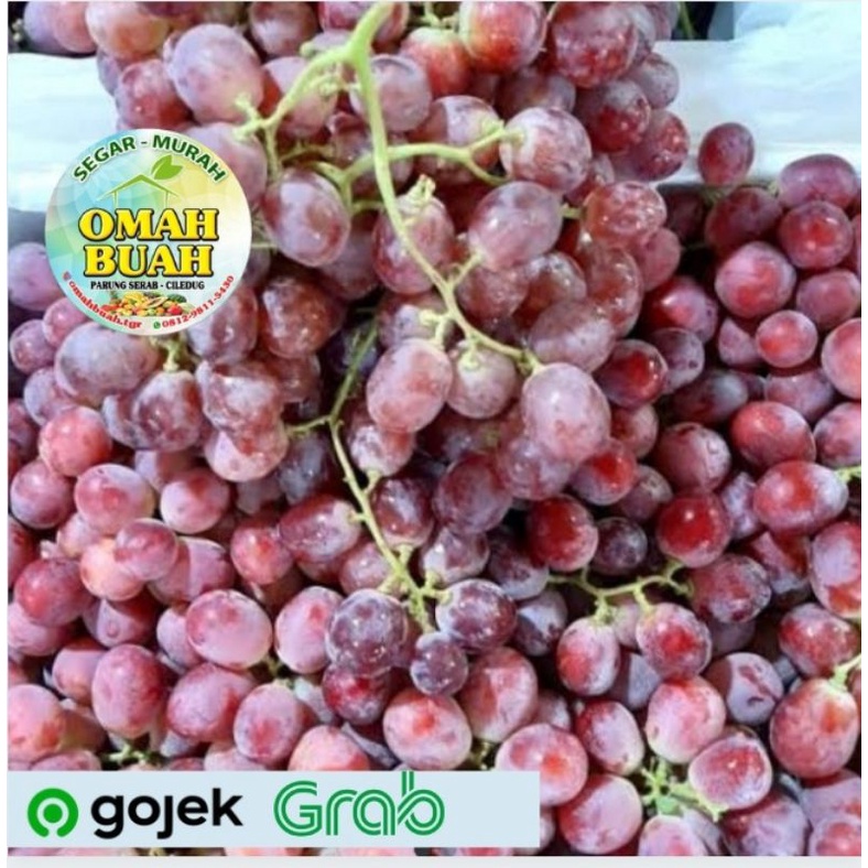 Jual Buah Anggur Red Globe Segar | Shopee Indonesia