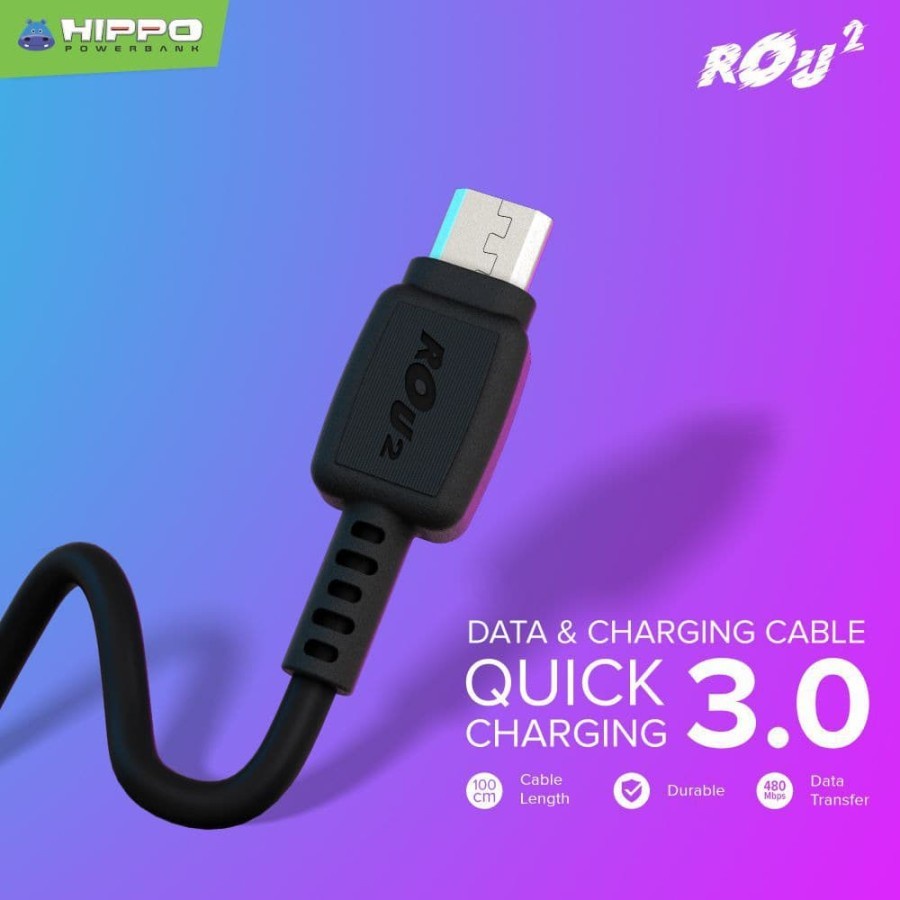 Jual Hippo Kabel Data Fast Charging Rou 2 USB to Micro Type C Lightning ...