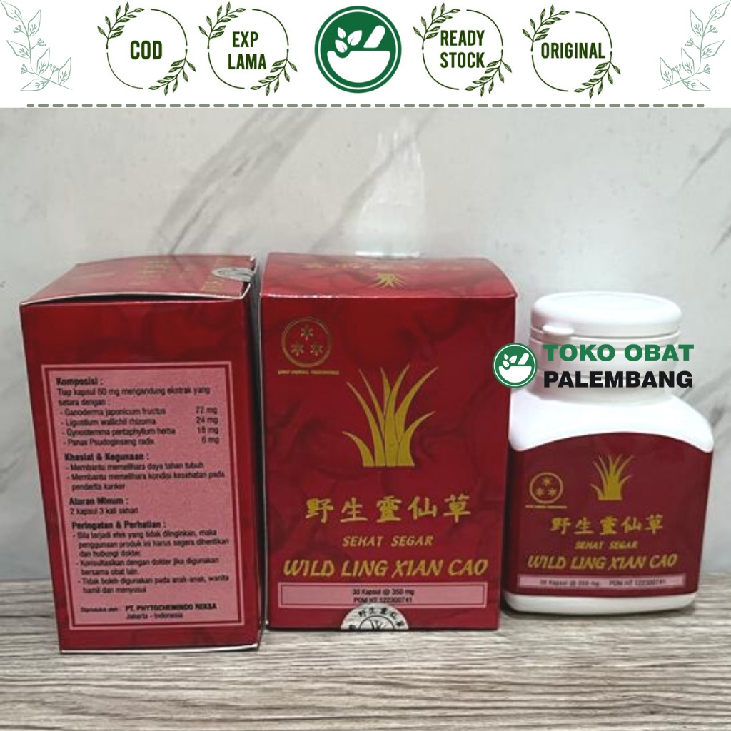 Jual WILD LING XIAN CAO 30 KAPSUL SEHAT SEGAR OBAT KANKER WILDLING ...