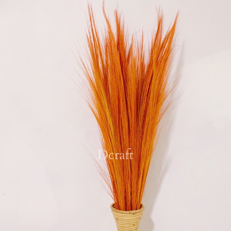 Jual Rayung Stick Pampas Panjang 1,5 Meter (1 ikat isi 3 batang ...