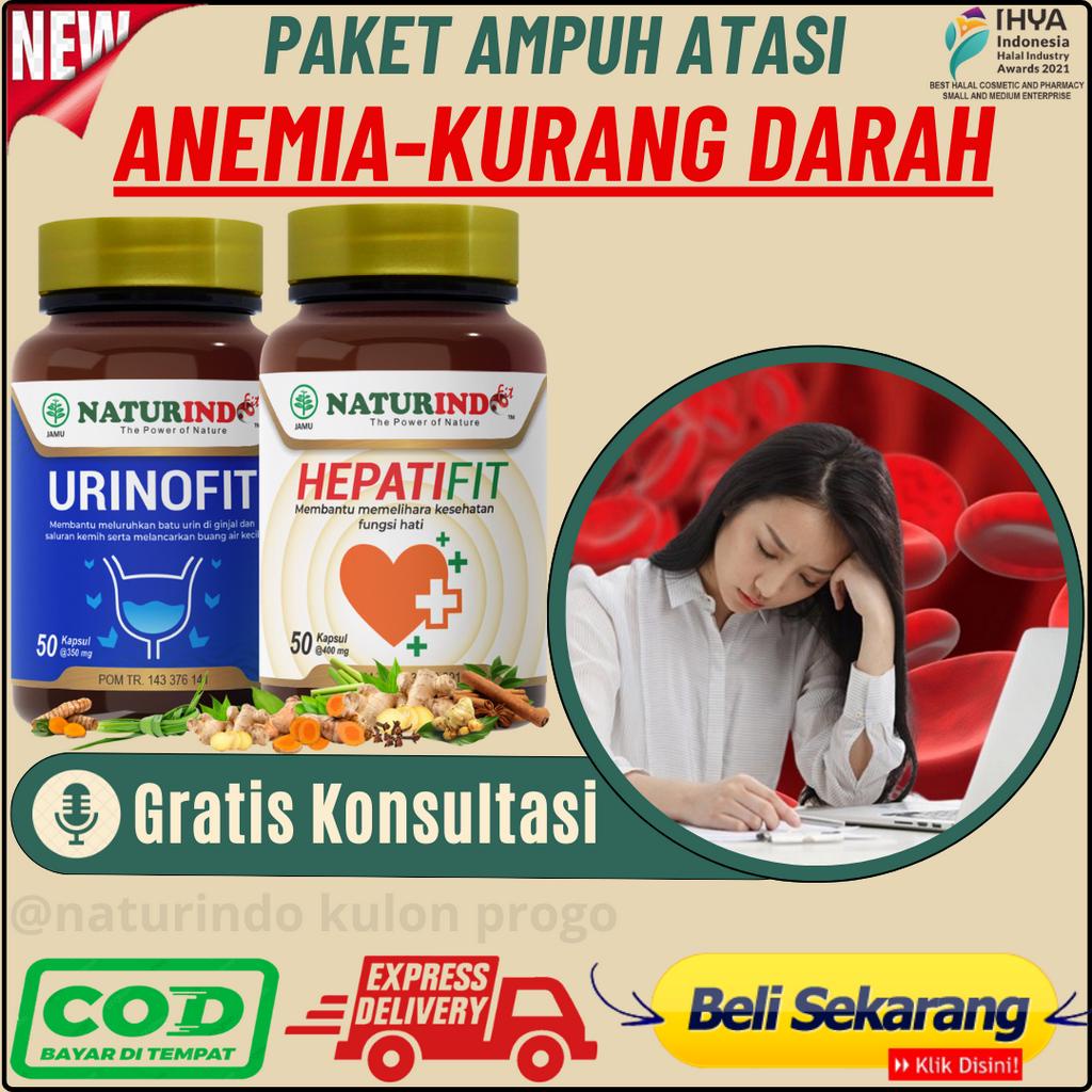 Jual Obat Anemia Kurang Darah Penambah Darah HB Hemoglobin Anak dan ...