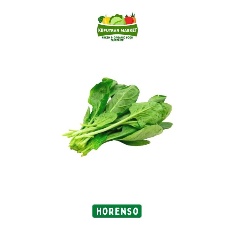 Jual Horenso / Bayam Jepang Per Ikat / Produk Langka | Shopee Indonesia