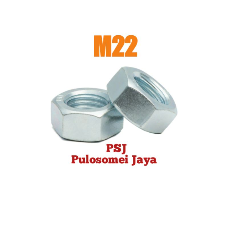 Jual Mur Hex Putih / Hex Nut M22 Galvanis | Shopee Indonesia