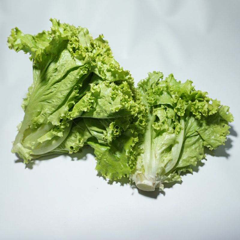 Jual slada bokor 250gr / sayuran segar bandung fresh | Shopee Indonesia