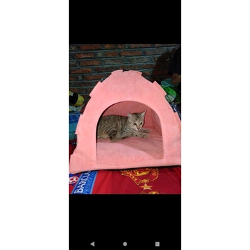 Jual Tenda Kucing anjing kasur portabel tempat tidur petshop kandang ...