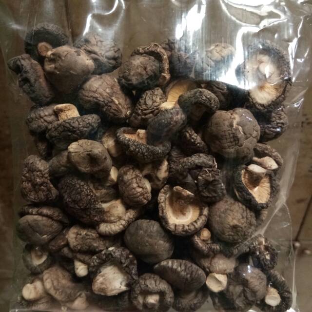 Jual JAMUR HIOKO KECIL /MINI MUSHROOM 100GRAM | Shopee Indonesia