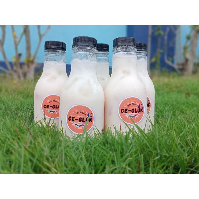 Jual Susu yogurt CEGLUK (nyegerin, nyehatin, ngangeni) | Shopee Indonesia
