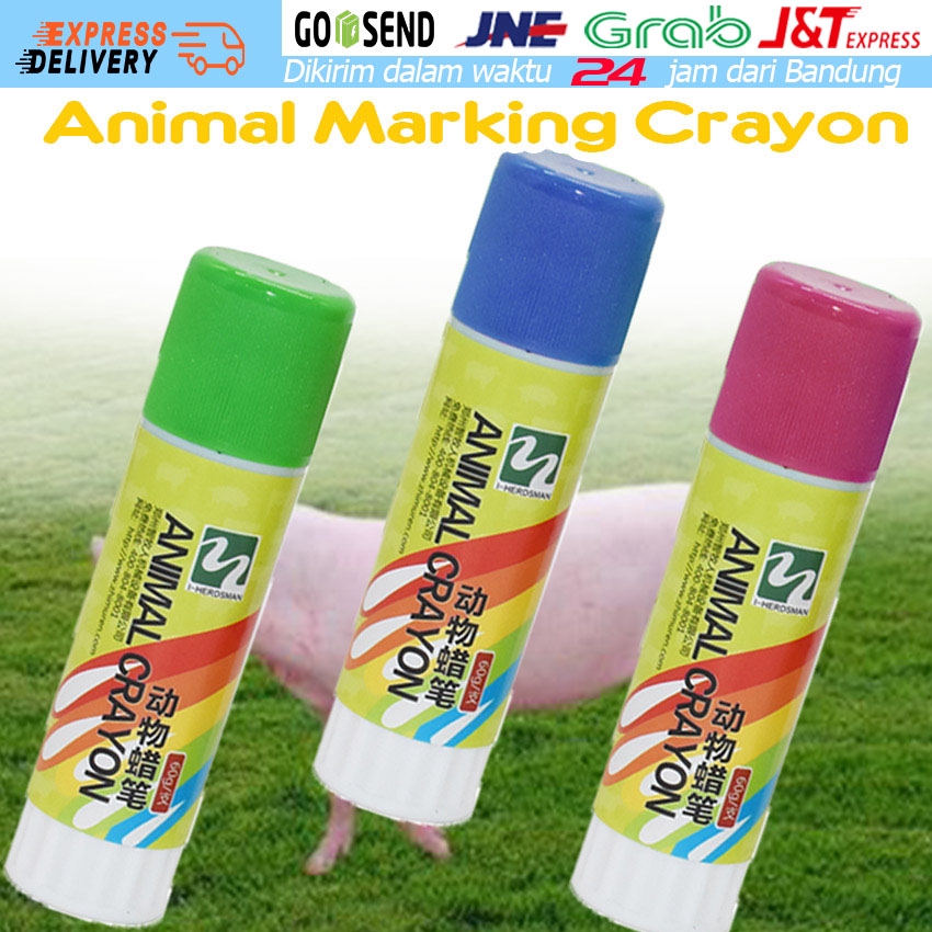 Jual 3 Warna Crayon Spidol untuk Tanda Tubuh Babi Sapi Domba Kambing ...