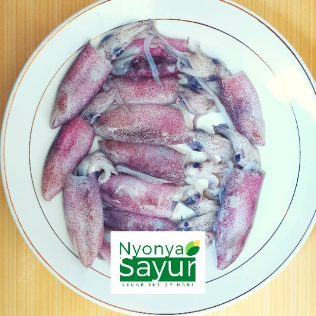 Jual Cumi Cumi Segar | Shopee Indonesia