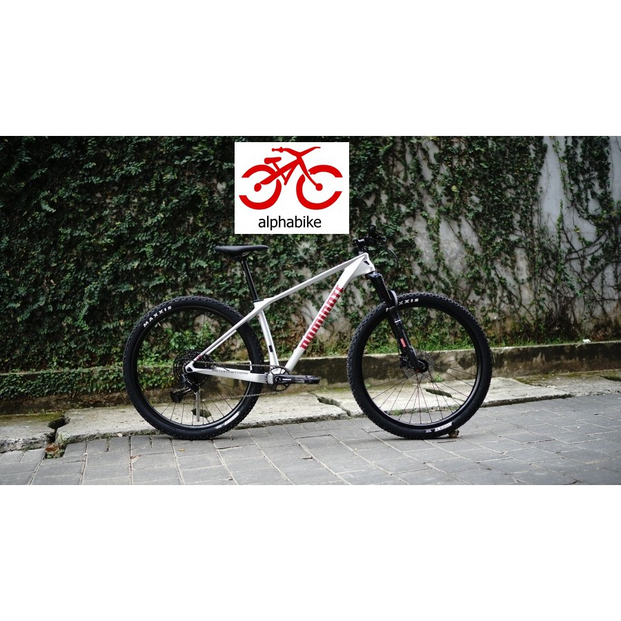 Jual SEPEDA GUNUNG MTB DOMINATE CXC ELITE CARBON 29 INCH - M - NICK SILVER | Shopee Indonesia