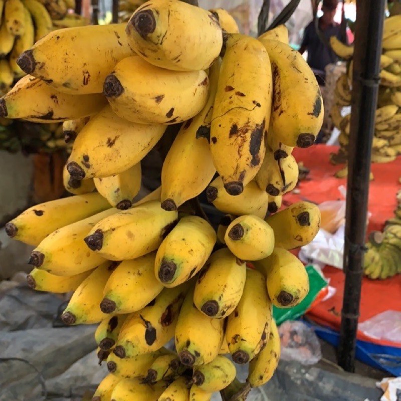 Jual pisang uli 1 tandan (isi 5-6 sisir) | Shopee Indonesia