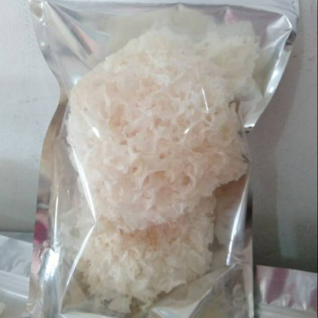 Jual jamur putih salju premium / dried snow white fungus / bai mu er ...