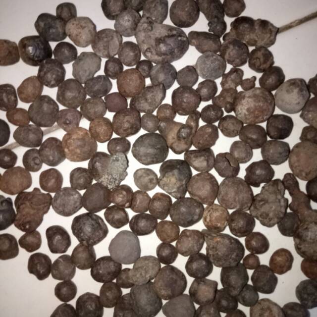 Jual Munta Besi | Shopee Indonesia