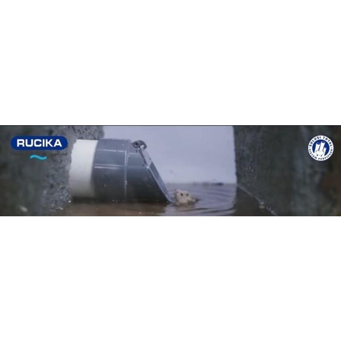 Jual TUTUP PIPA TUTUP BAK KONTROL 3" ANTI BACK FLOW STOP BANJIR TIKUS ...