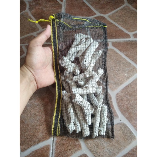 Jual Filter Talang Karang Jahe 500 gr + Waring Filter Aquarium | Shopee ...