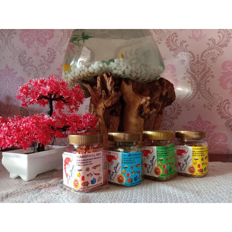 Jual UDANG KERING TOPLES carophyll Red, yellow, blue spirulina | Shopee ...