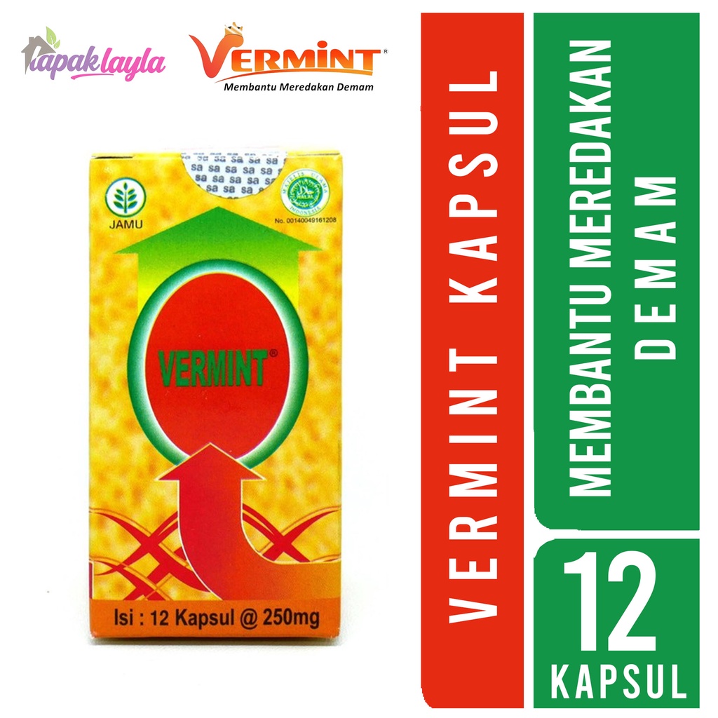 Jual VERMINT KAPSUL ISI 12 KAPSUL extrack cacing obat tifus | Shopee ...