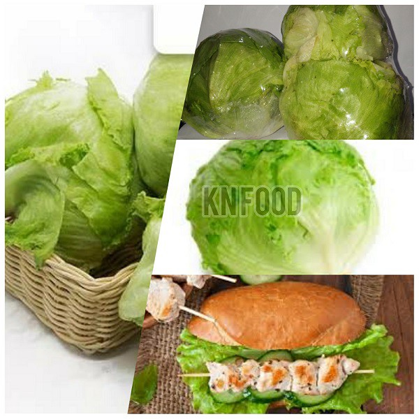 Jual sayuran letus 1 kg/ LOTUS SAYURAN KEBAB SEGAR/HARGA TER MURAH ...