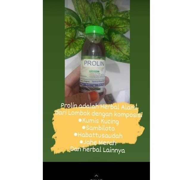 Jual PROLIN | Shopee Indonesia