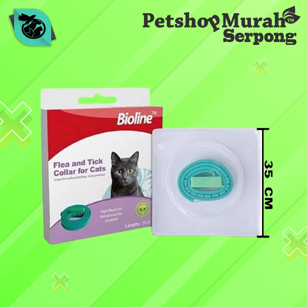 Jual Bioline Flea and Tick Collar For Cat Kalung Anti Kutu Kucing ...