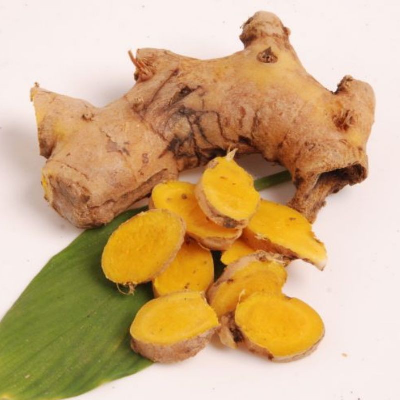 Jual Temu Giring / Temu Kuning 1kg (Curcuma Heyneana) | Shopee Indonesia