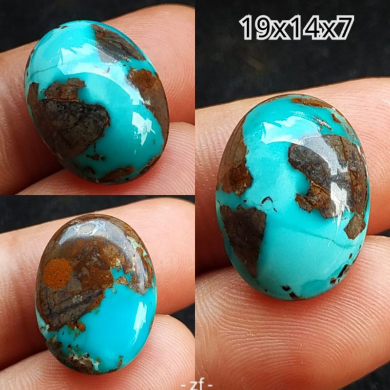 Jual NATURAL PIRUS PERSIA | Shopee Indonesia