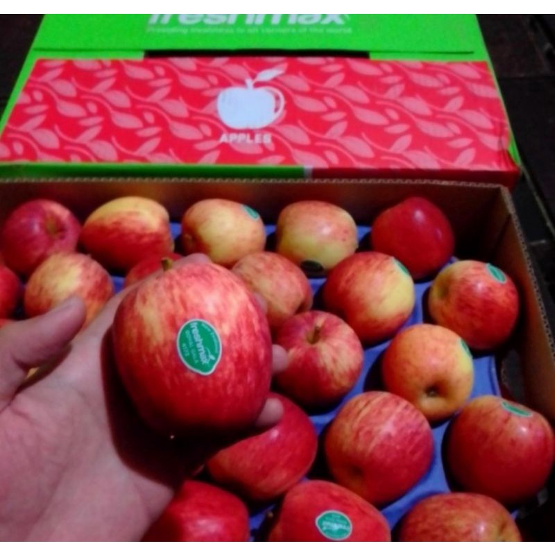 Jual Buah apel royal gala new Zealand import 1 dus | Shopee Indonesia