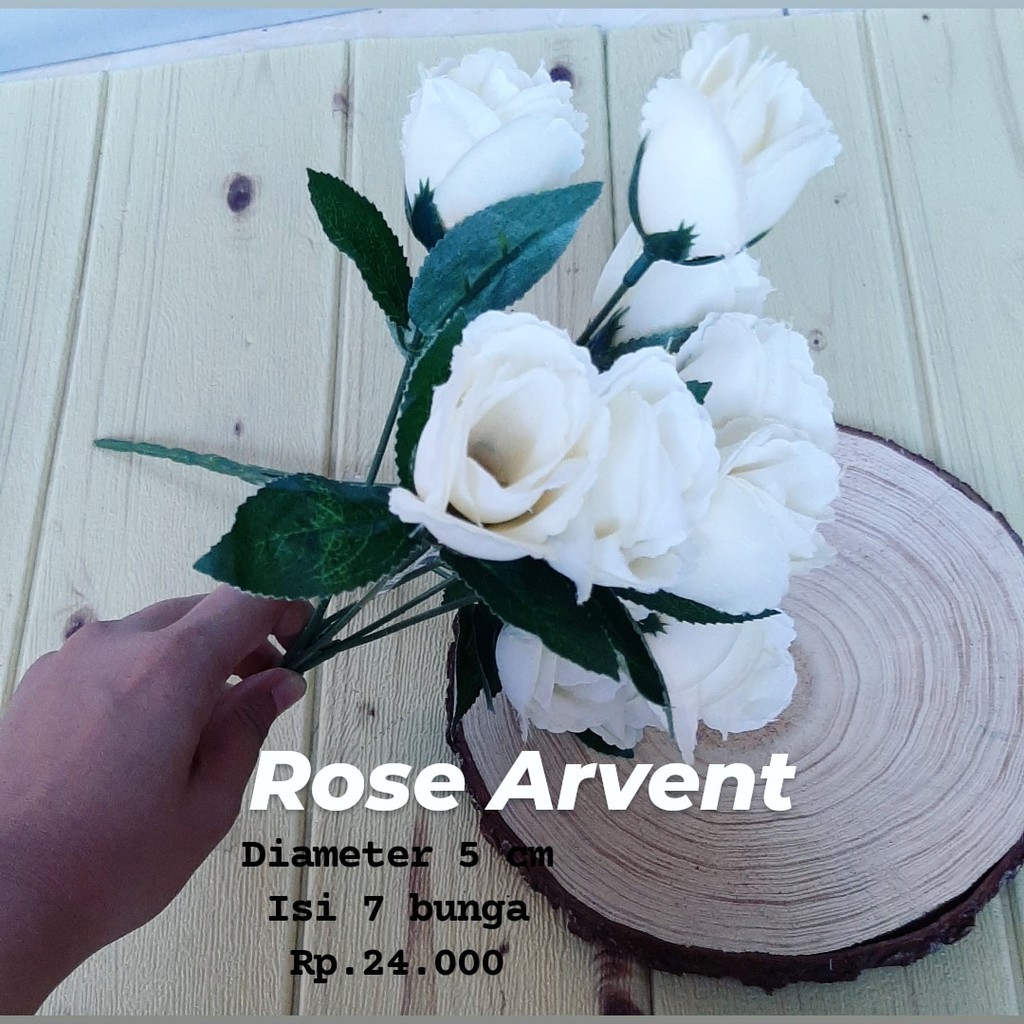 Jual Bunga Mawar (Rose Arvent) | Shopee Indonesia