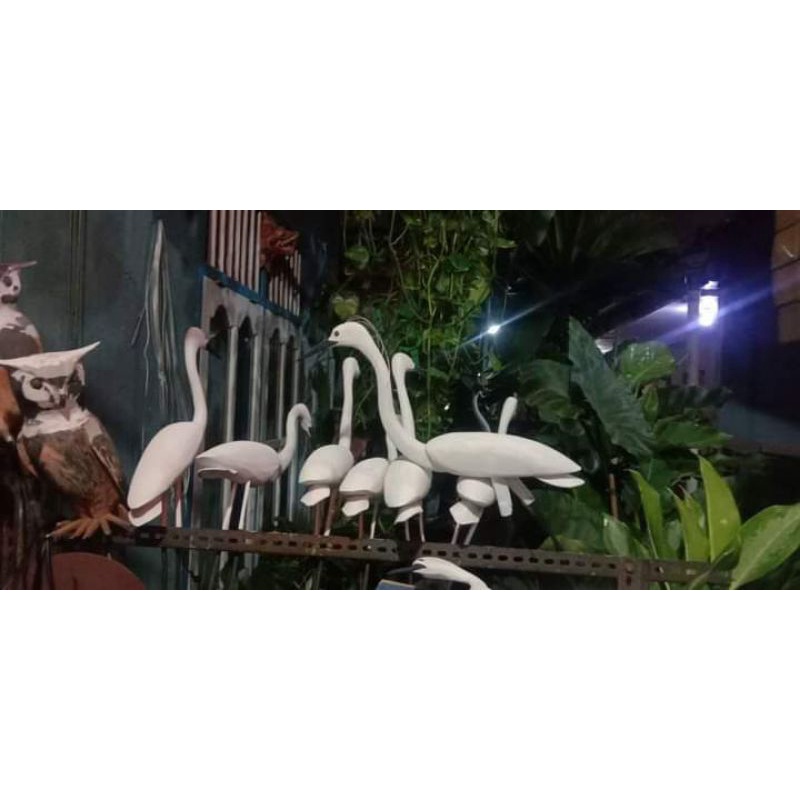 Jual jontrot burung kuntul | Shopee Indonesia