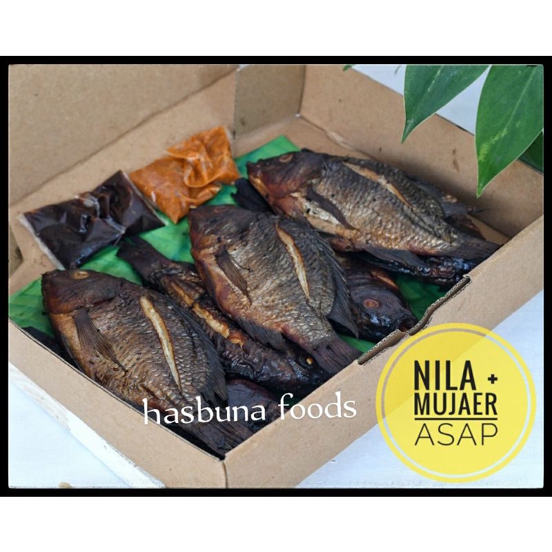 Jual Nila dan mujaer asap isi 2 | Shopee Indonesia