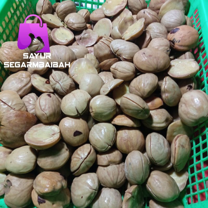 Jual jengkol rebus | Shopee Indonesia