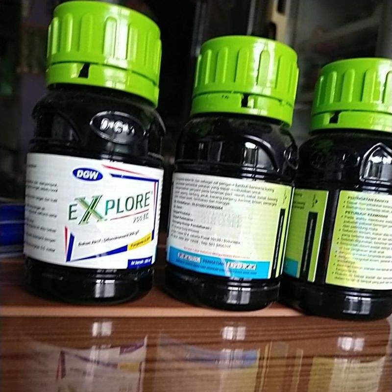 Jual EXPLORE 250 EC 250 ml (bonus kaos cantik) | Shopee Indonesia