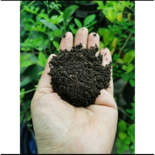 Jual Pupuk kascing, Pupuk organik, Pupuk kompos 250 gram | Shopee Indonesia