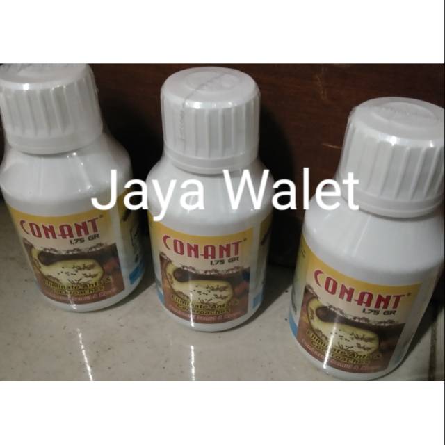 Jual Conant racun semut dan kecoa | Shopee Indonesia