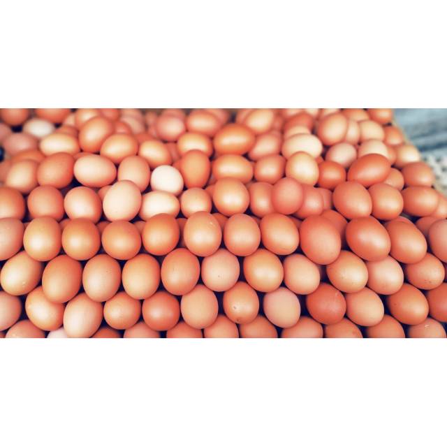 Jual TELUR AYAM CURAH FRESH/KG | Shopee Indonesia