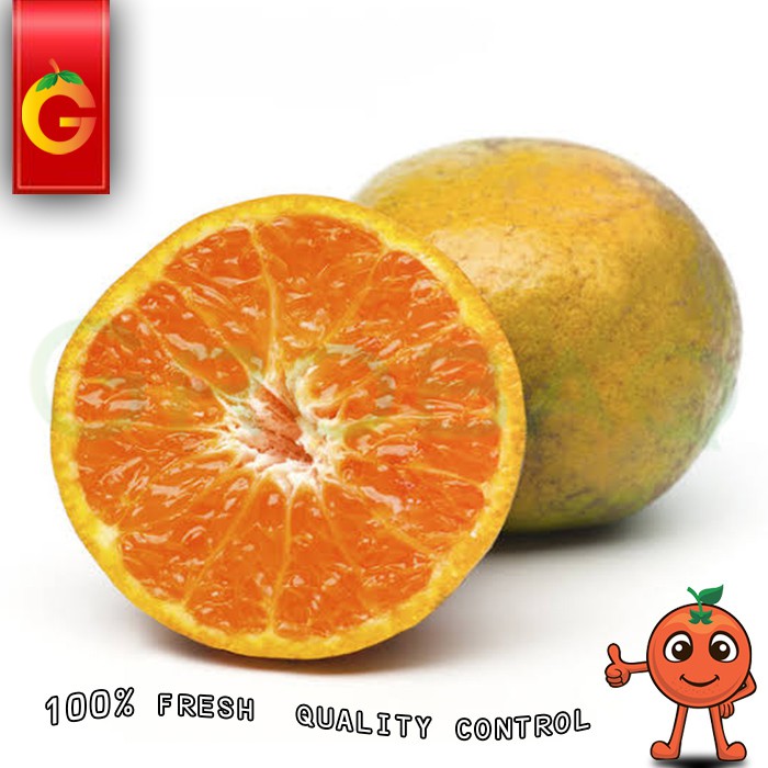 Jual JERUK LOKAL MEDAN MANIS 500 GRAM | Shopee Indonesia