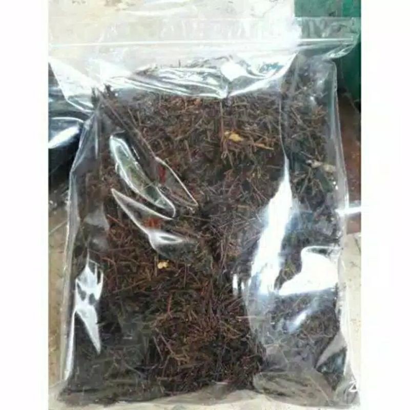 Jual Media tanam pakis cacah berat 1kg | Shopee Indonesia