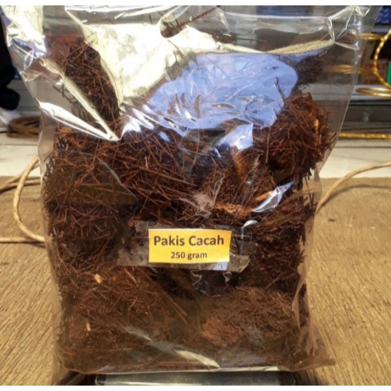 Jual media tanam akar pakis, pakis cacah halus-kasar | Shopee Indonesia