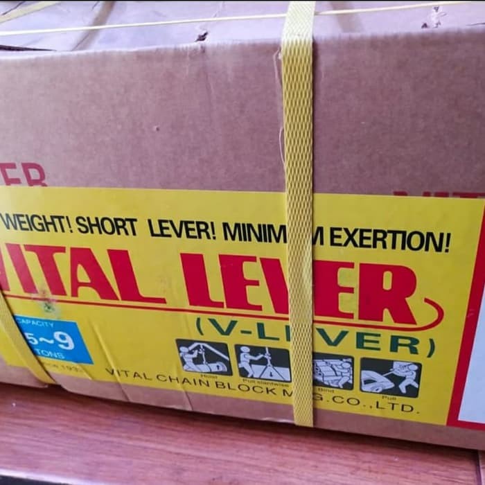 Jual DMT | VITAL LEVER BLOCK CHAIN HOIST BLOCK KAPASITAS 3 TON | Shopee ...