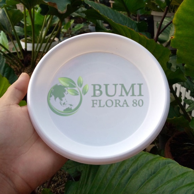 Jual Alas Pot Lavenia 18/ Alas Pot plastik/ Tatakan Pot plastik ...