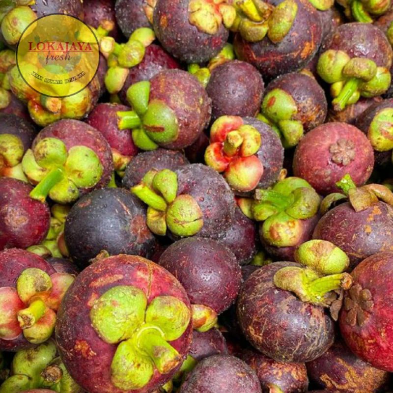 Jual Manggis Manis 1 Kg | Shopee Indonesia