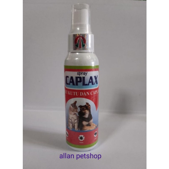 Jual obat caplak spray | Shopee Indonesia