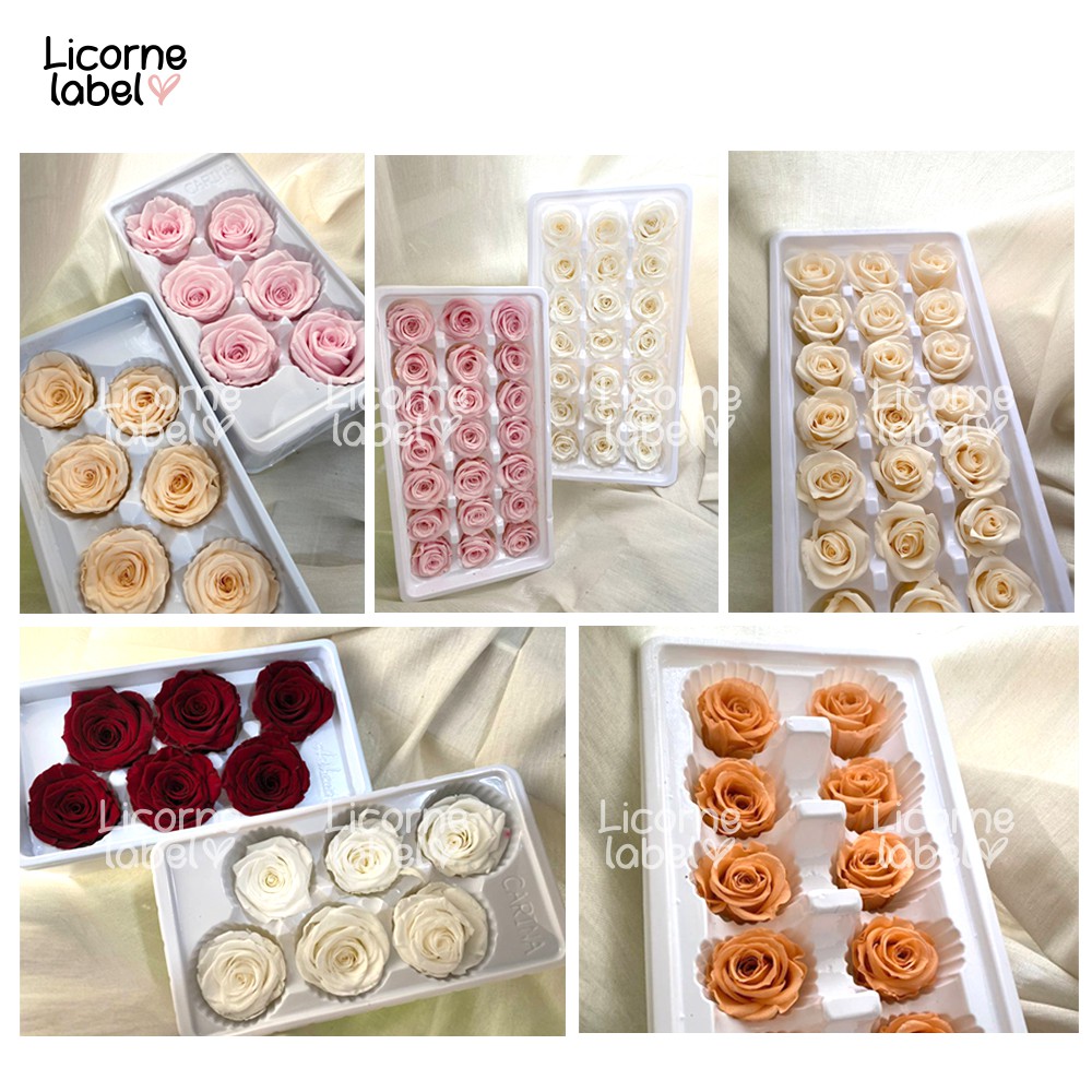 Jual Ecer Satuan Grade A Preserved Rose Bunga Kering Import / Bunga ...