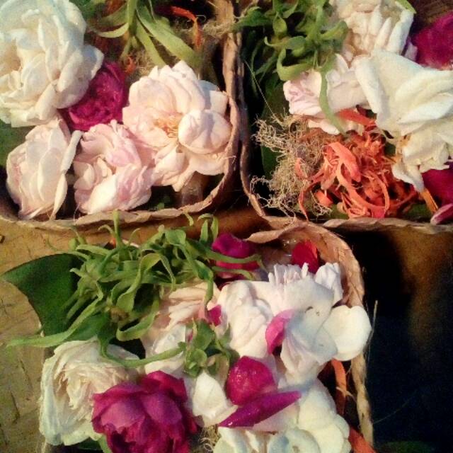 Jual Ramuan Tradisional Mandi Spa Kembang Bunga Macan Kerah | Shopee ...