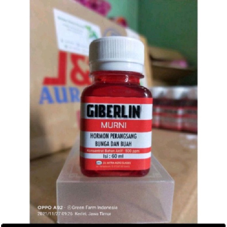 Jual Giberelin Hormon Perangsang Buah Dan Bunga 60ml | Shopee Indonesia