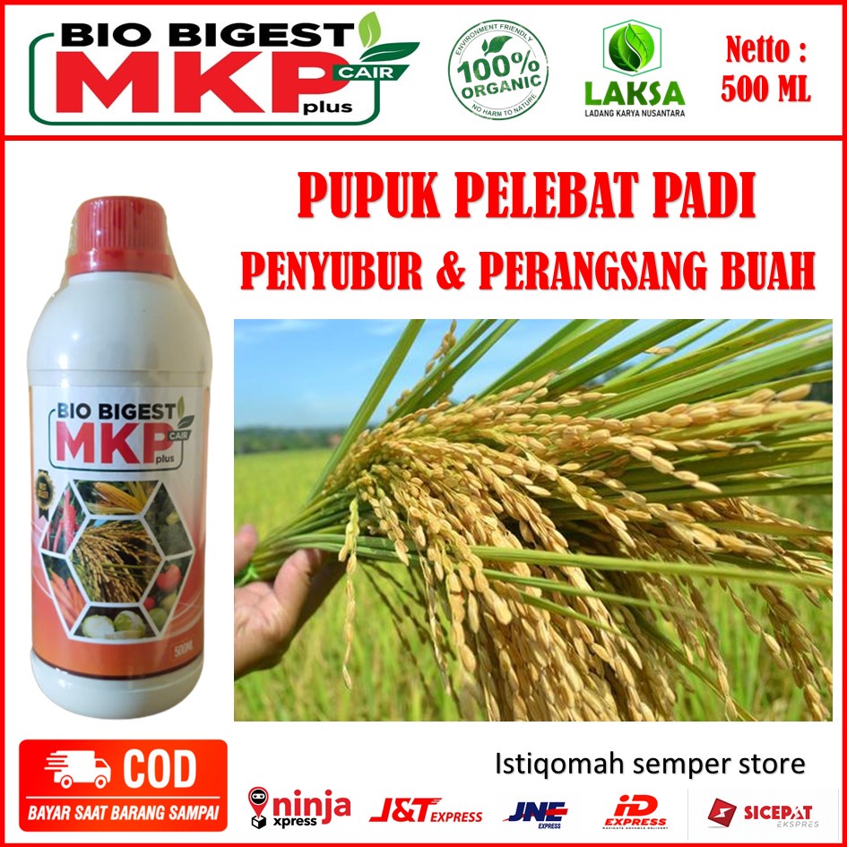 Jual BIO BIGEST MPK Cair Obat Pelebat Padi - Pupuk Penyubur Padi - Pupuk MPK Cair BIO BIGEST 500 ...