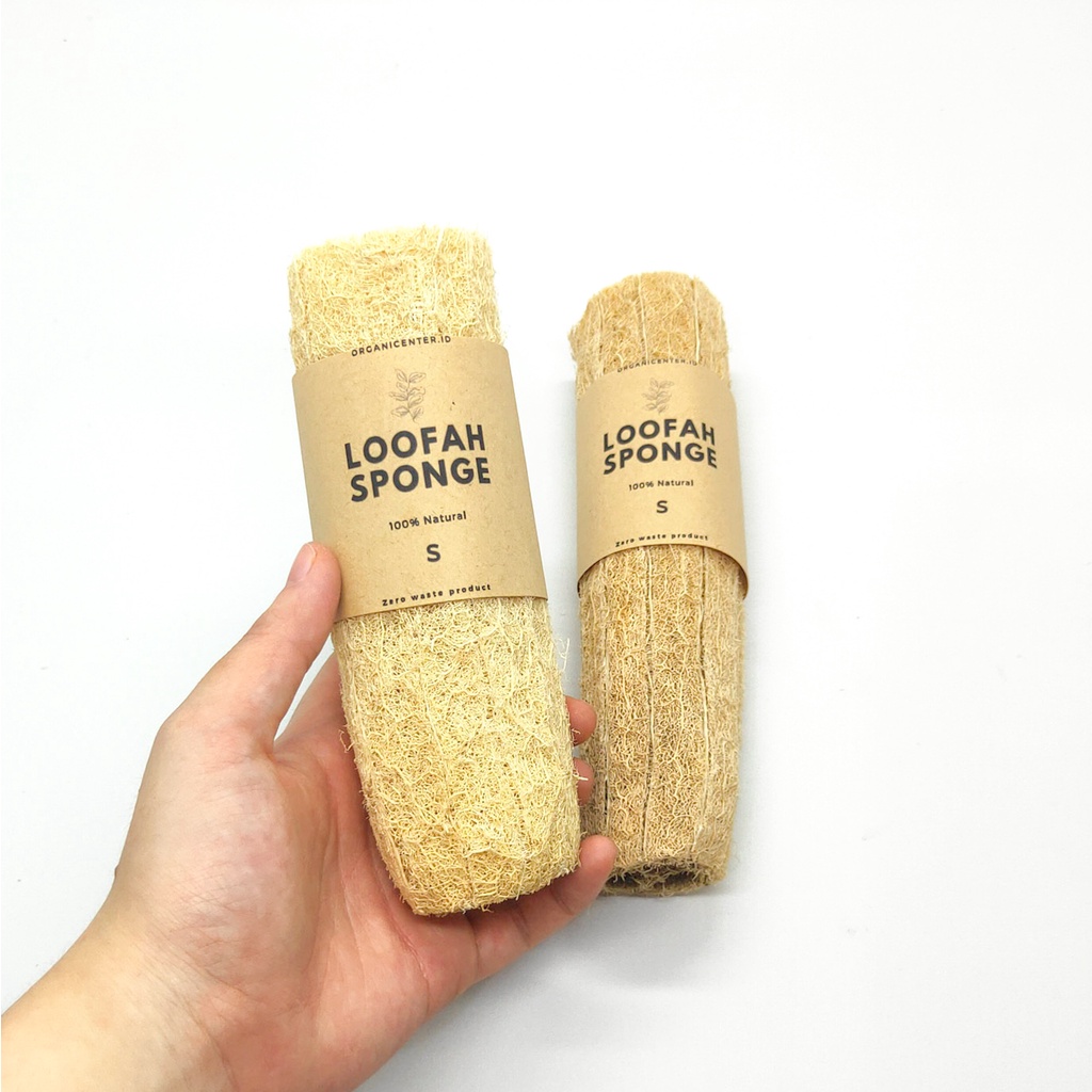Jual Loofah Sponge / Spons Gambas Natural Alami / Spons Sabut Cuci ...